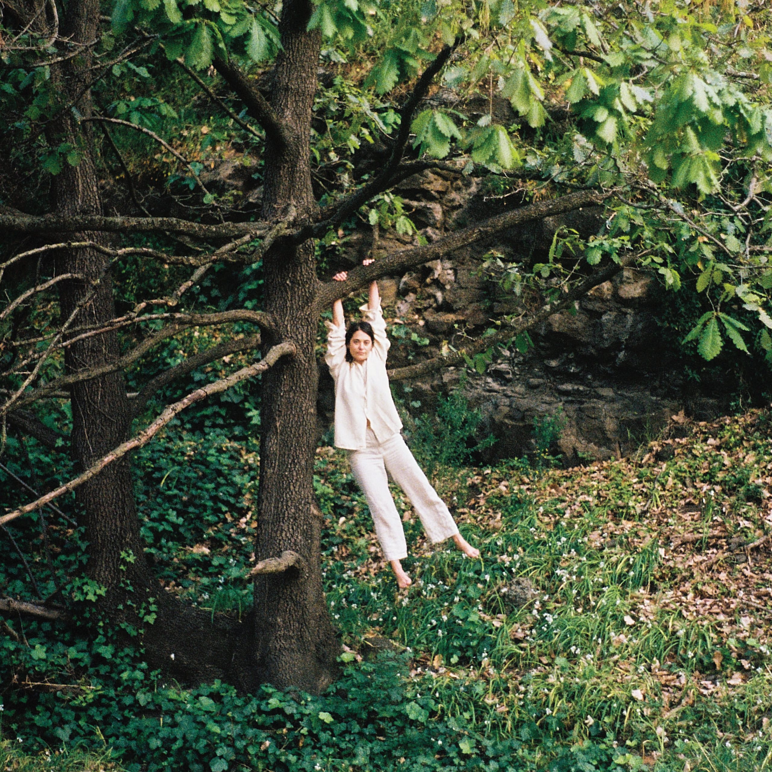 Maple Glider - To Enjoy is the Only Thing //Partisan Records ...
