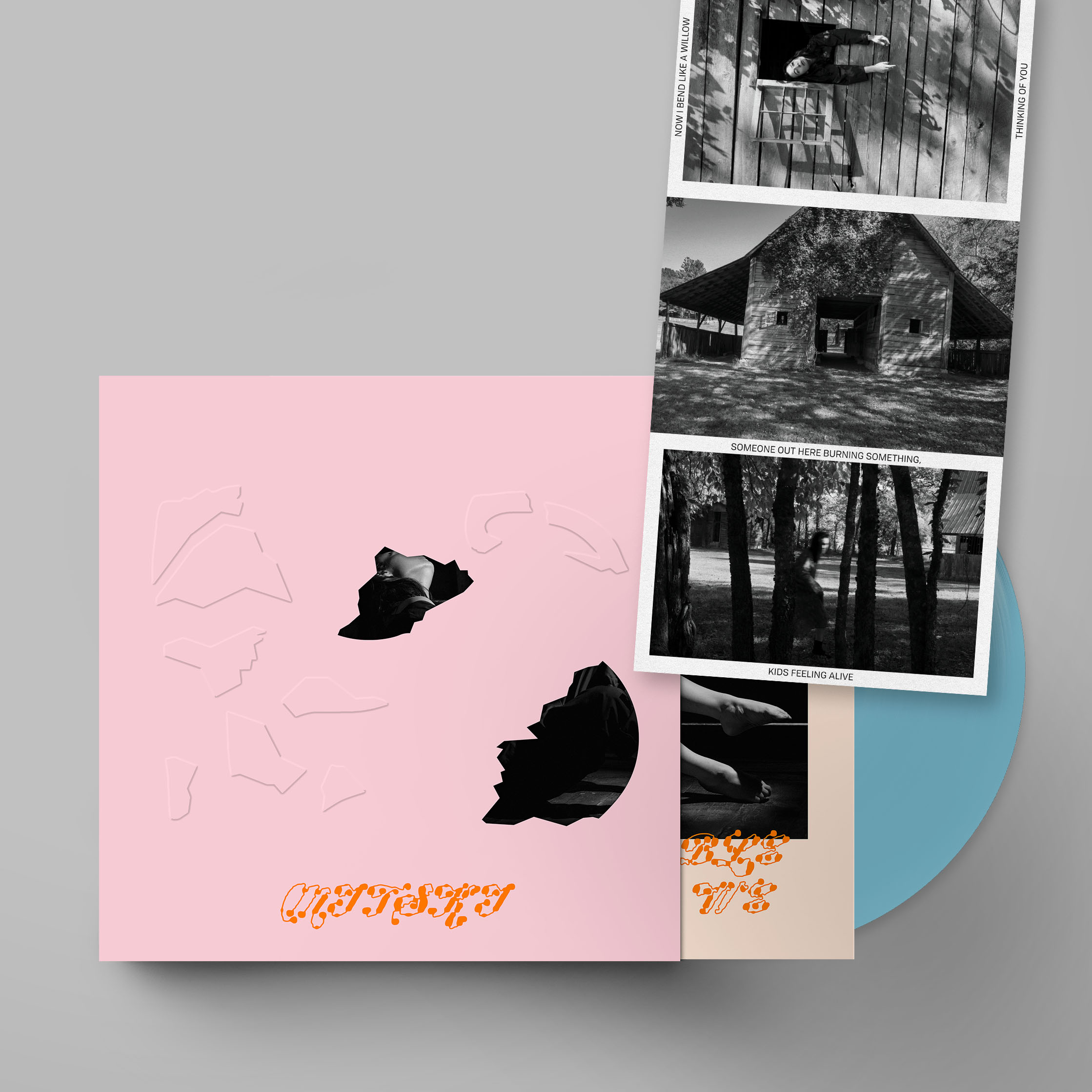 Mitski - The Land is Inhospitable and So Are We (Released 15th ...