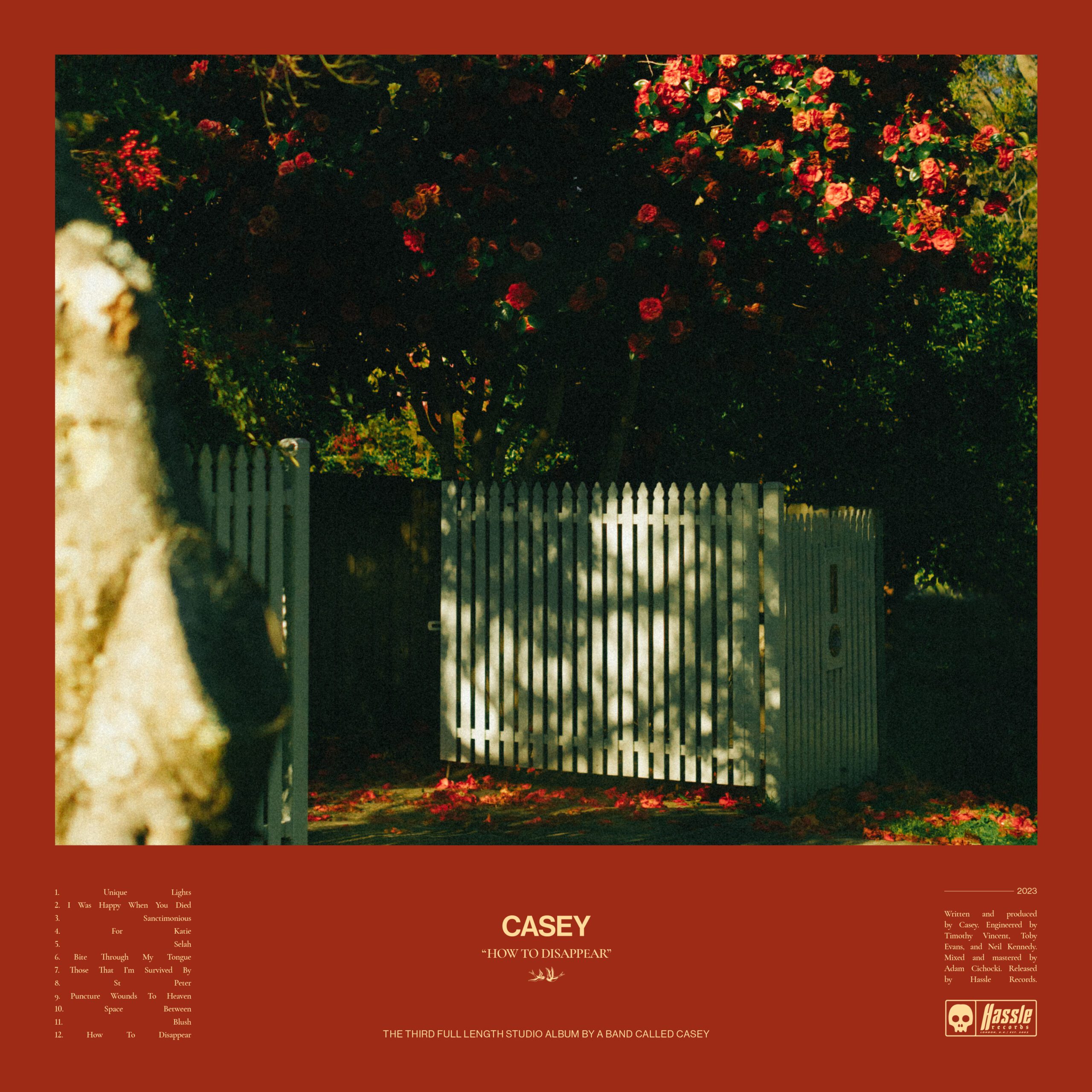 Casey - How To Disappear (Released 26th January 2024) | Pie & Vinyl