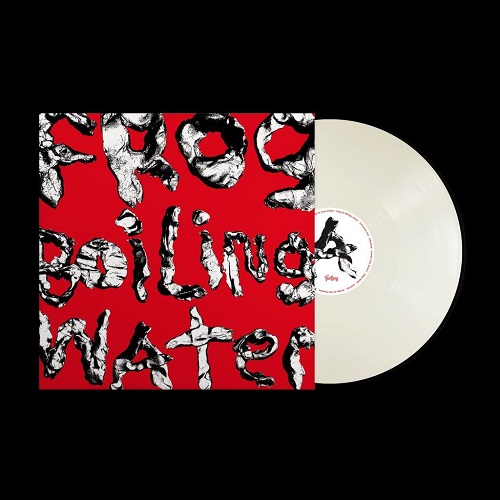 Diiv - "Frog in Boiling Water" (Released 24th May 2024) | Pie & Vinyl