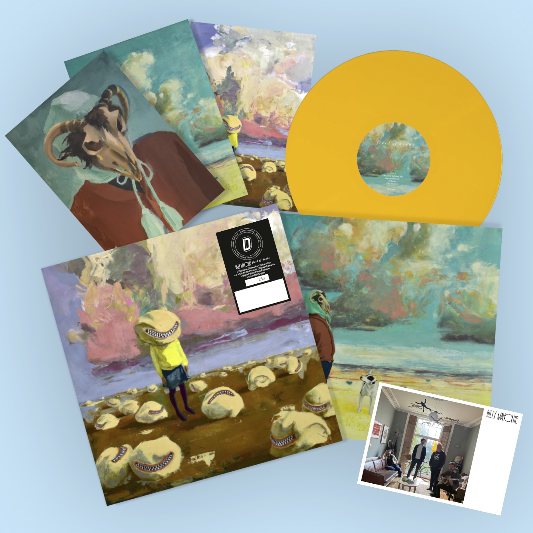 Billy Mahonie - FIELD OF HEADS (Released 24th May 2024) | Pie & Vinyl